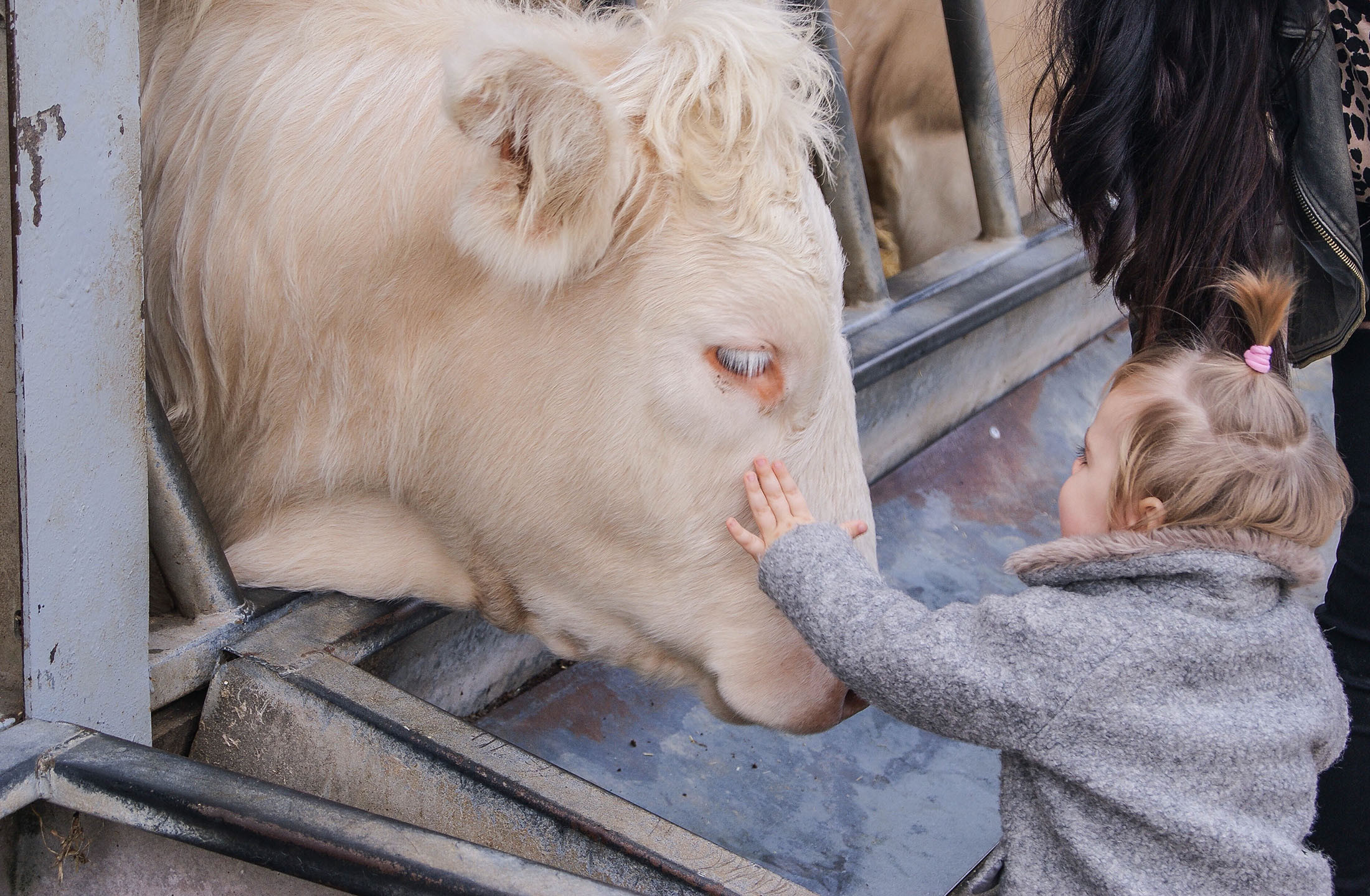 Rand Farm Park near Lincoln